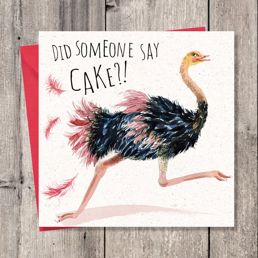 Funny Birthday Card Ostrich Funny Birthday Card for Her Funny Happy ...
