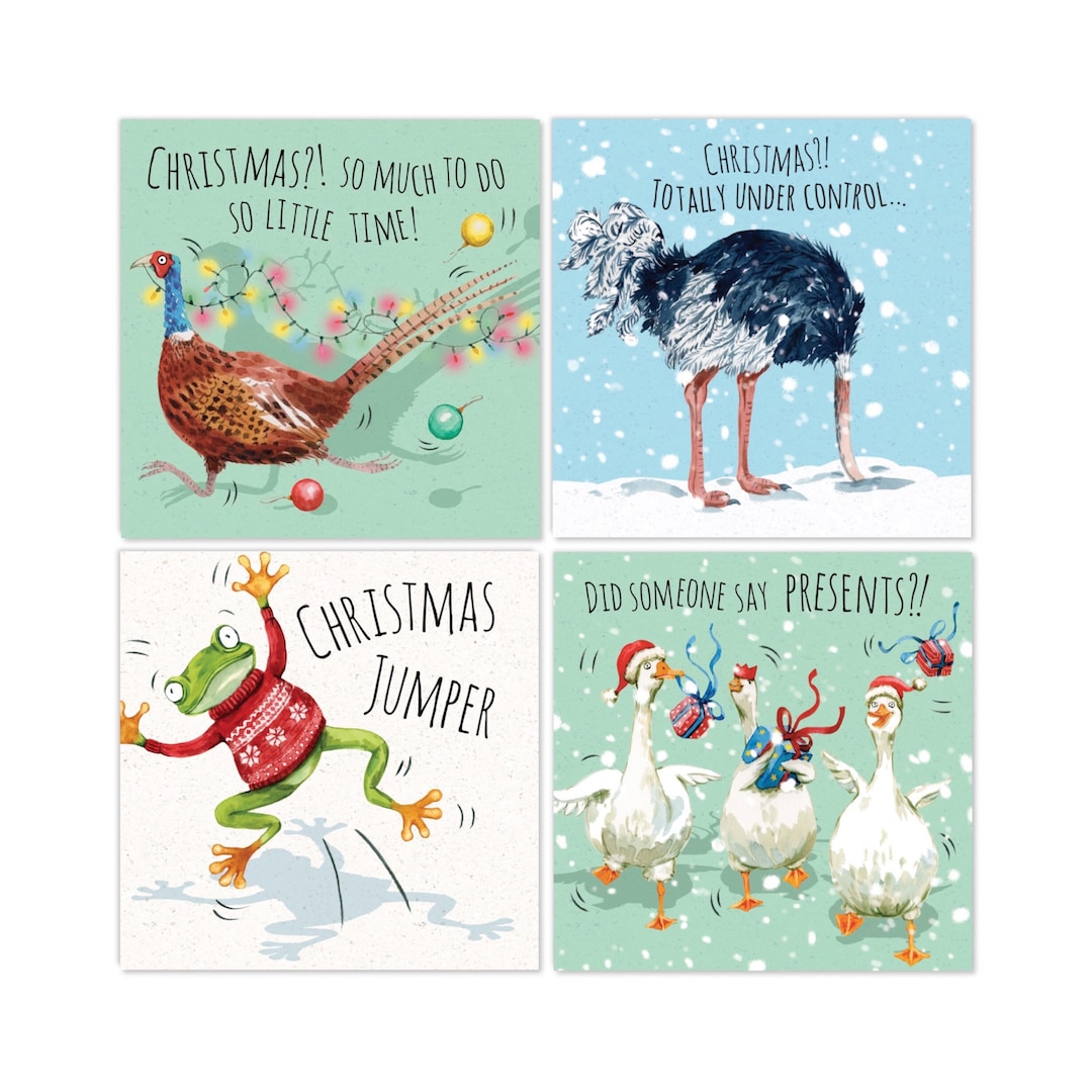 Pack of 8 Funny Christmas Cards - 8 Different Humour Designs - 8 Pack ...