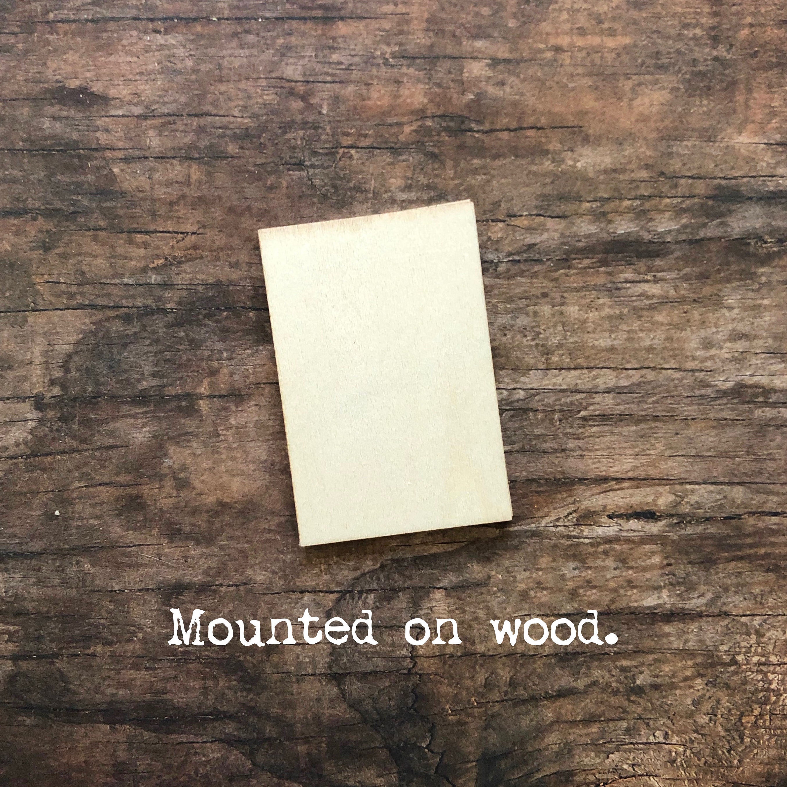 Mini Mixed Media Victorian Octowoman Original Painted Photo Artwork ...