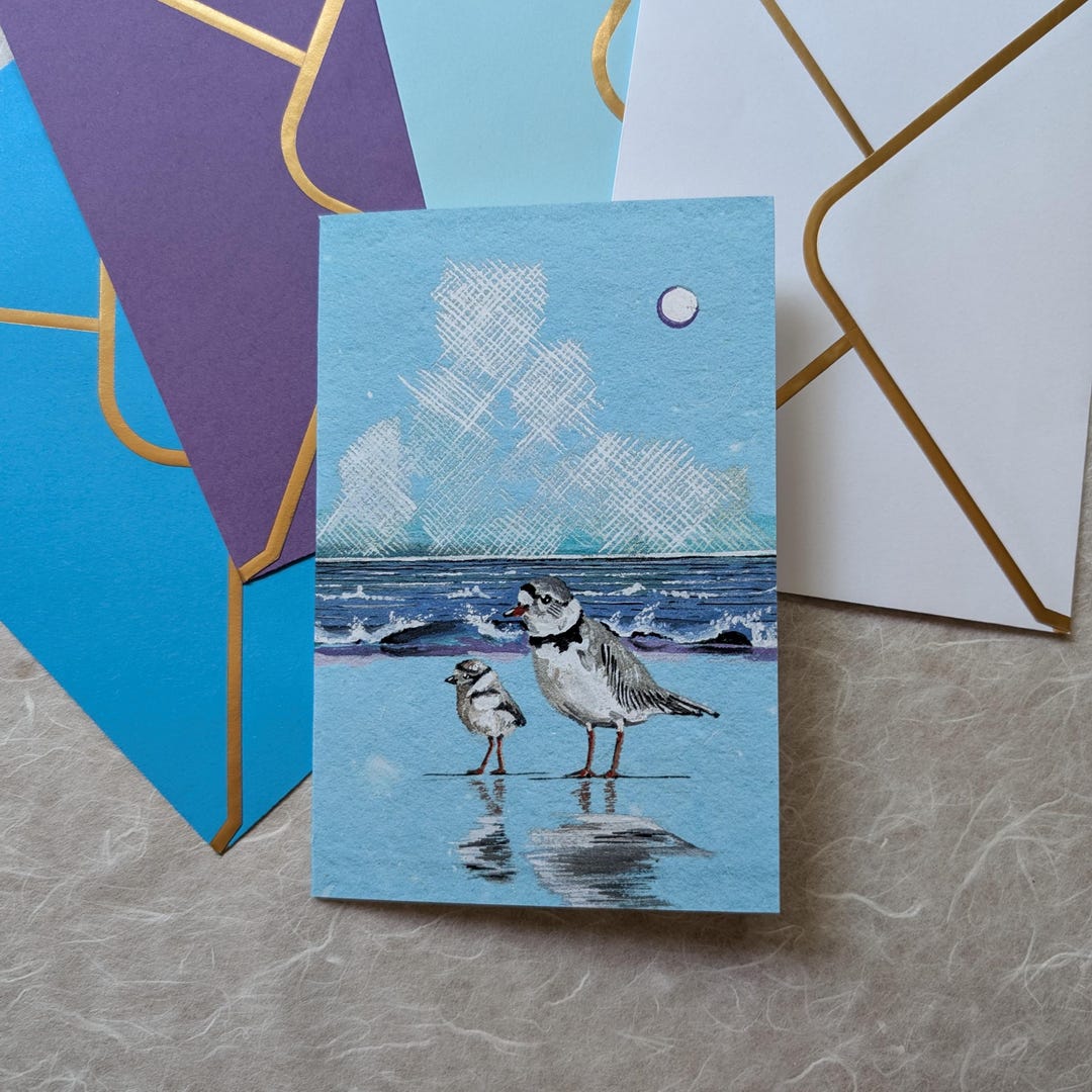 Plight of the Plovers Greeting Card, Bird Art, Piping Plovers, Plover ...
