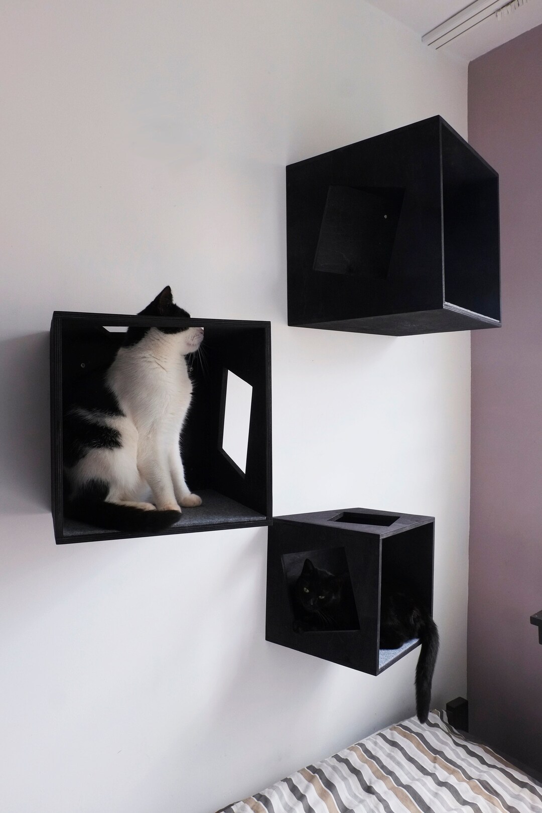 Cat Box Set, Cat Lover Gift, Cat Set, Cat Wall Furniture, Cat Shelves ...