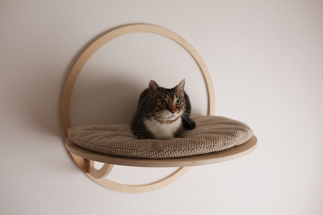 XL Bubble Cat Shelf: Modern Plywood Climbing Wall Furniture - Etsy