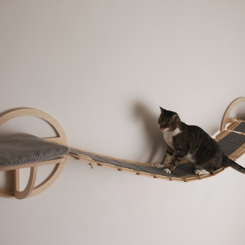IfCatsCanFly - Etsy