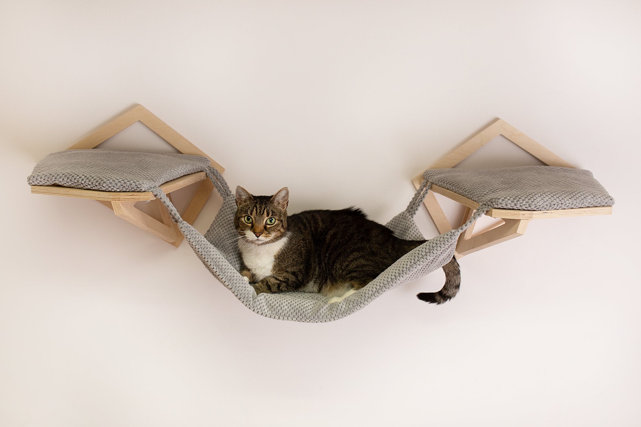 Neko Hammock For Cats Wall Mounted Cat Shelves Cat Etsy