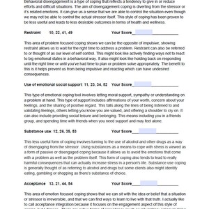 COPE Inventory Guide Sheet - Etsy