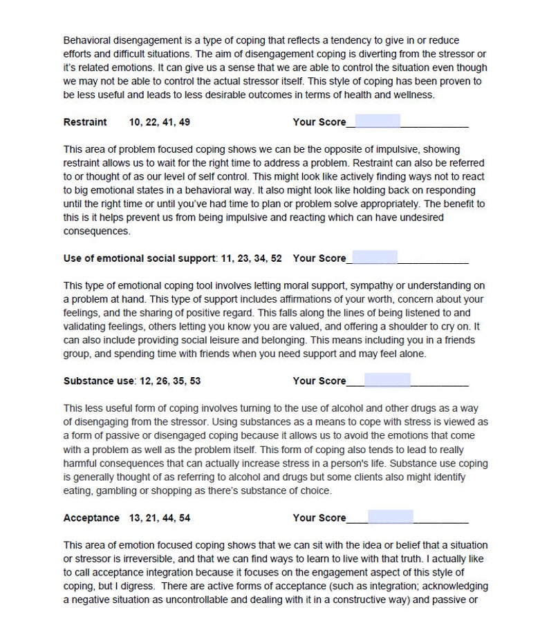 COPE Inventory Guide Sheet - Etsy