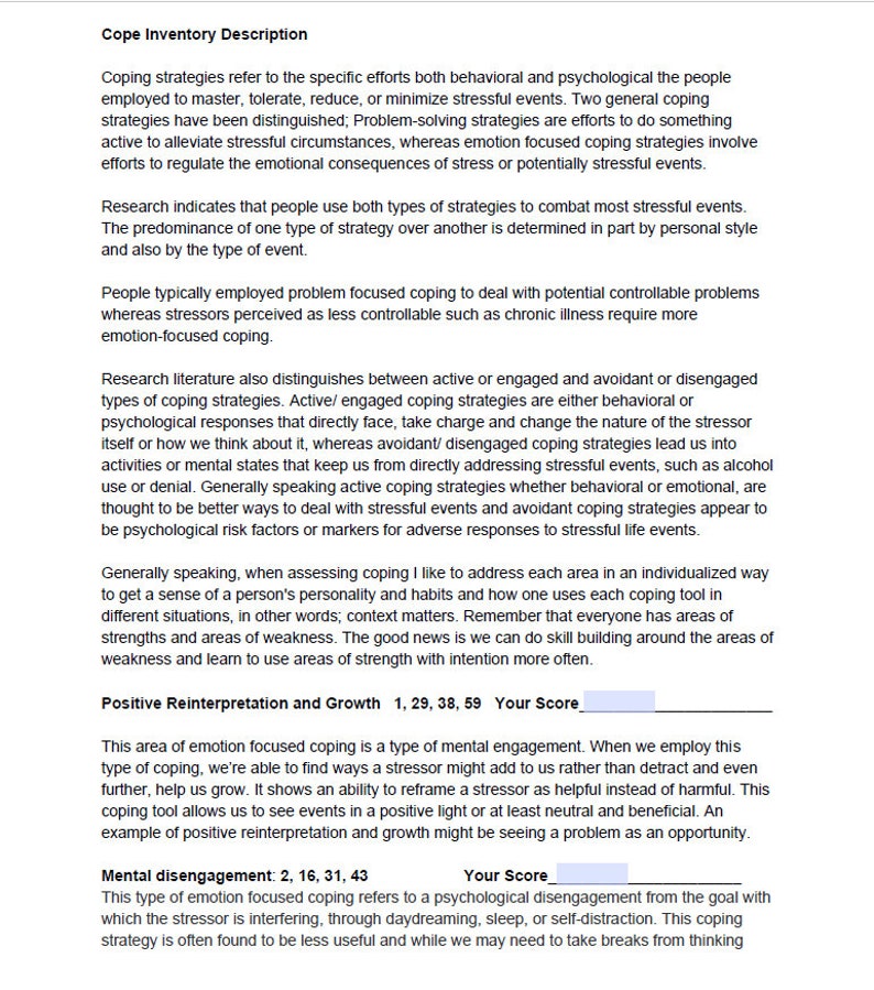 COPE Inventory Guide Sheet - Etsy