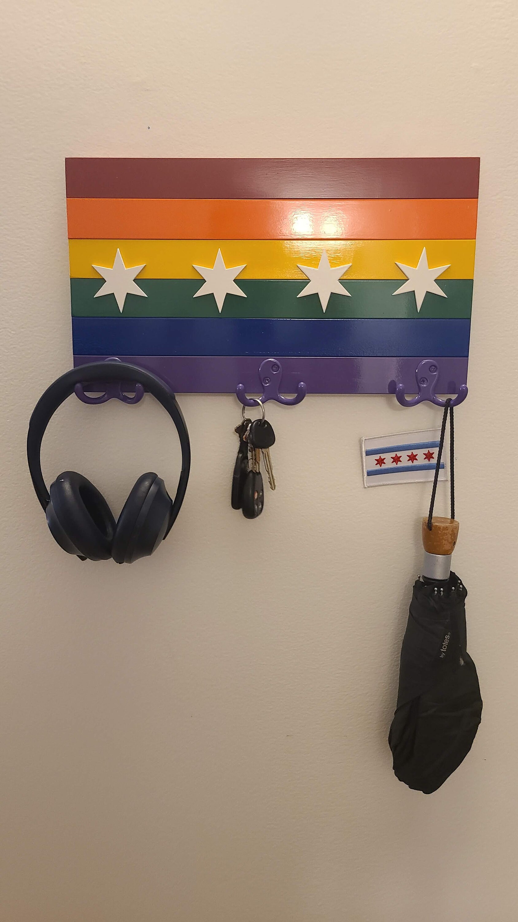 Pride Flag Chicago Flag Themed - Etsy