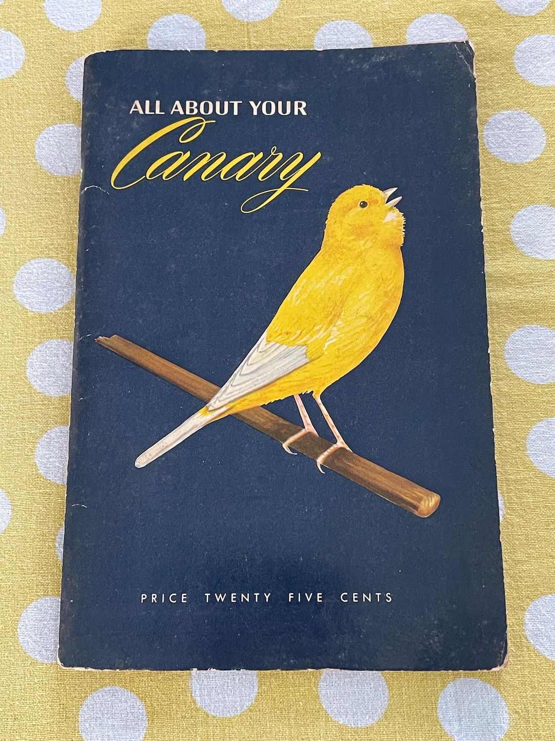 All About Your Canary, 1951 How-to Guide for Pet Birds, French’s Bird ...