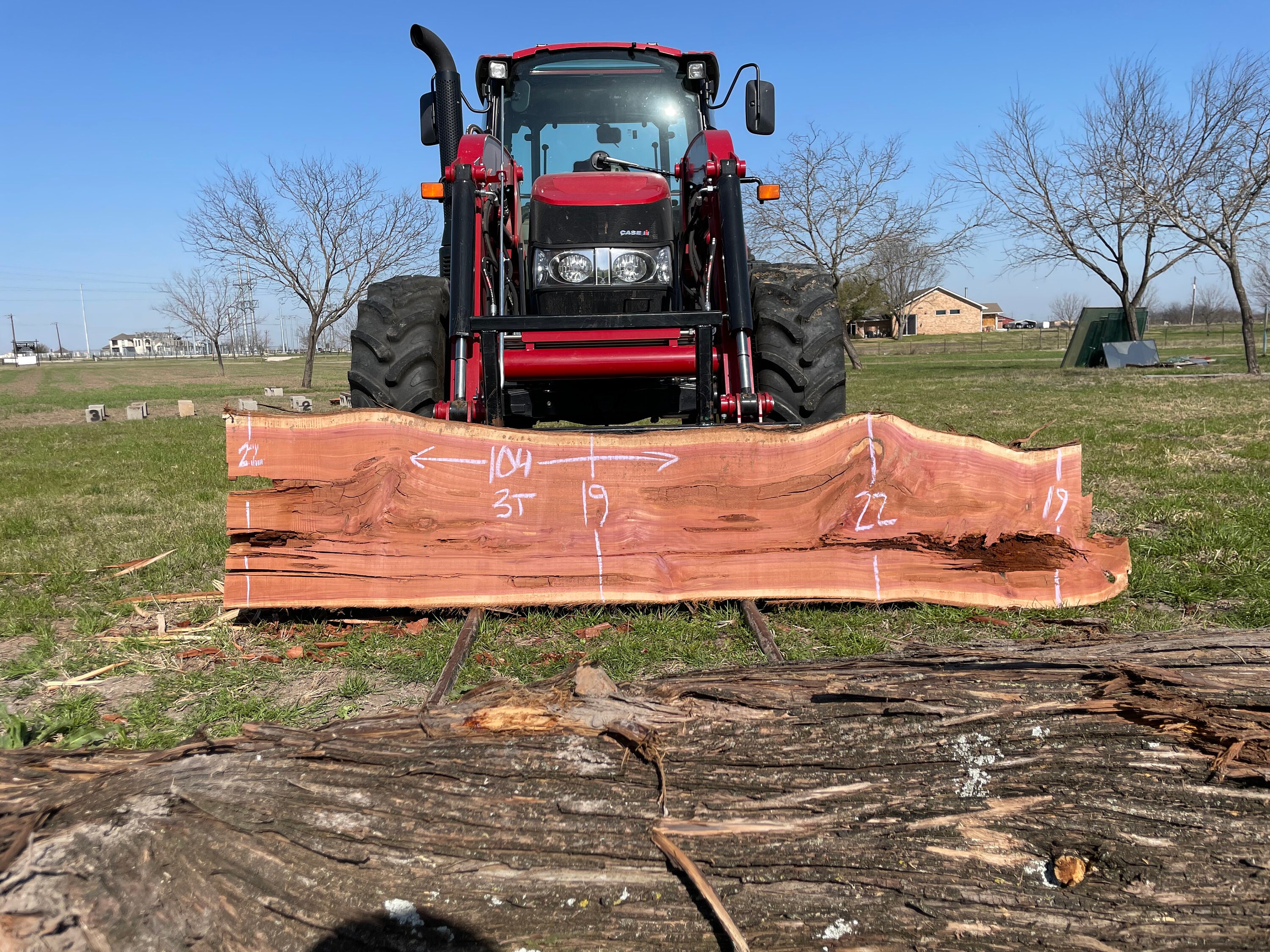 Texas Red Cedar Slab green - Etsy