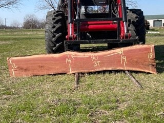 Texas Red Cedar Slab green - Etsy