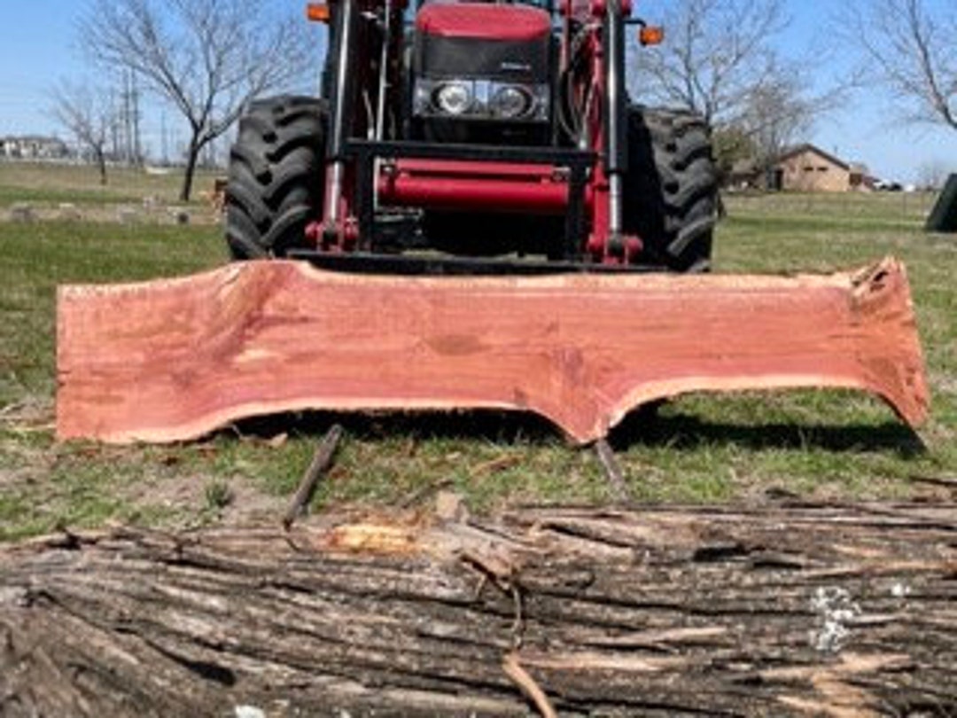 Texas Red Cedar Slab green - Etsy