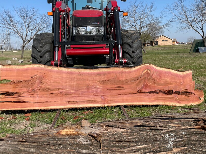 Texas Red Cedar Slab green - Etsy