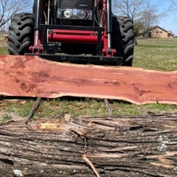 Cedar Slab - Etsy