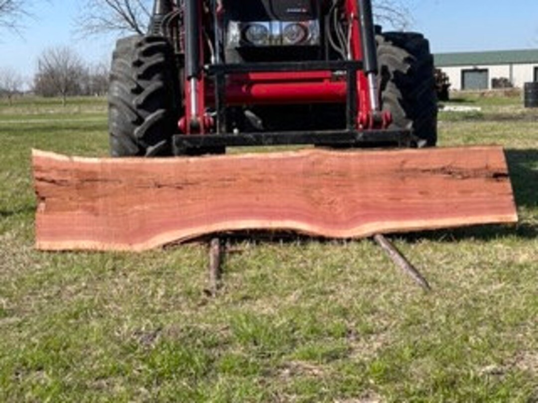 Texas Red Cedar Slab green - Etsy