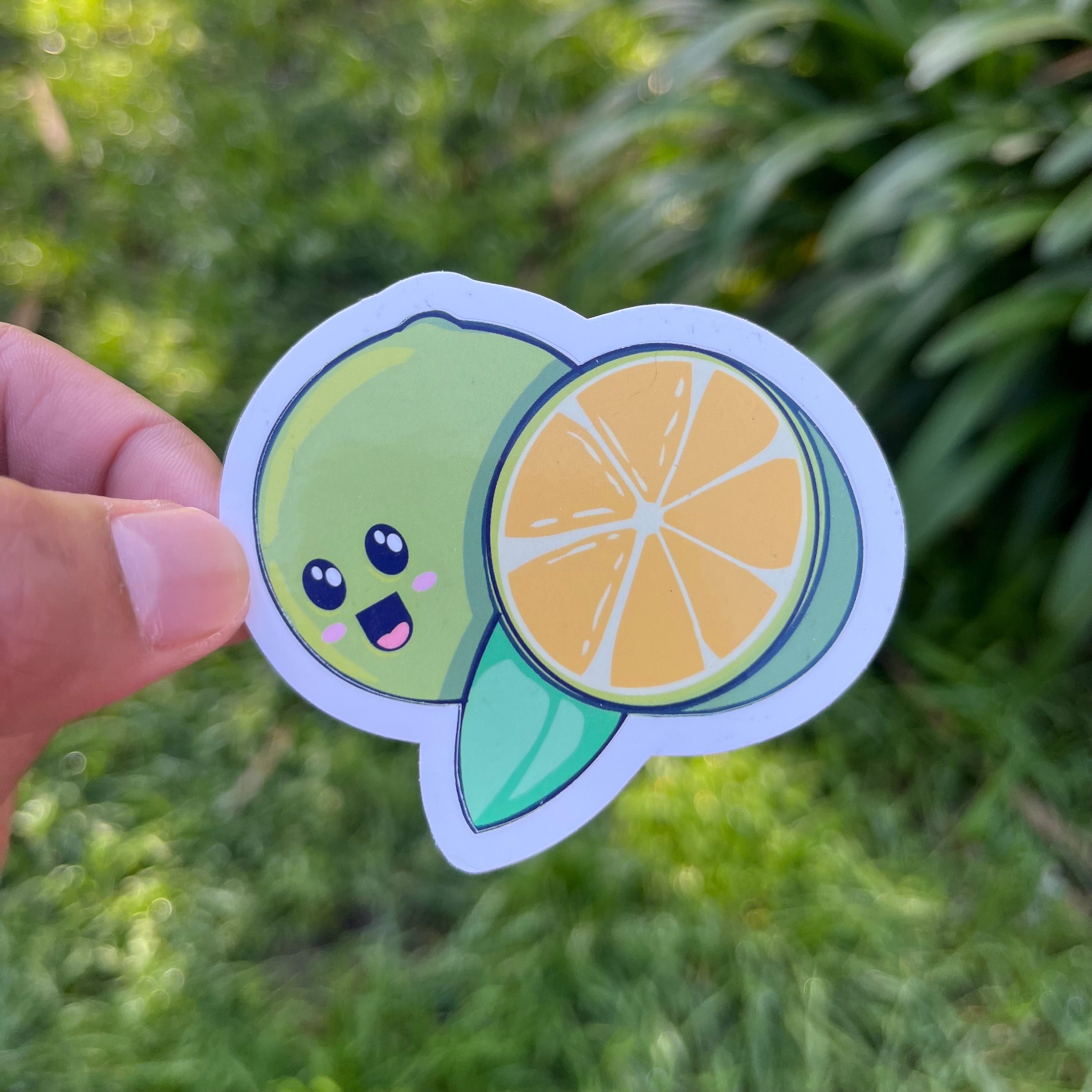 Kalamansi Sticker // Filipino Fruit - Etsy