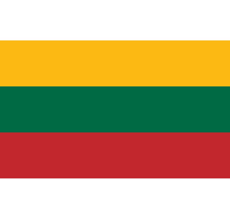 Lithuania Flag and Coat of Arms SVG PNG . Lithuanian Europe - Etsy