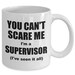 Supervisor Mug Funny Supervisor Coffee Mug for Recreation - Etsy