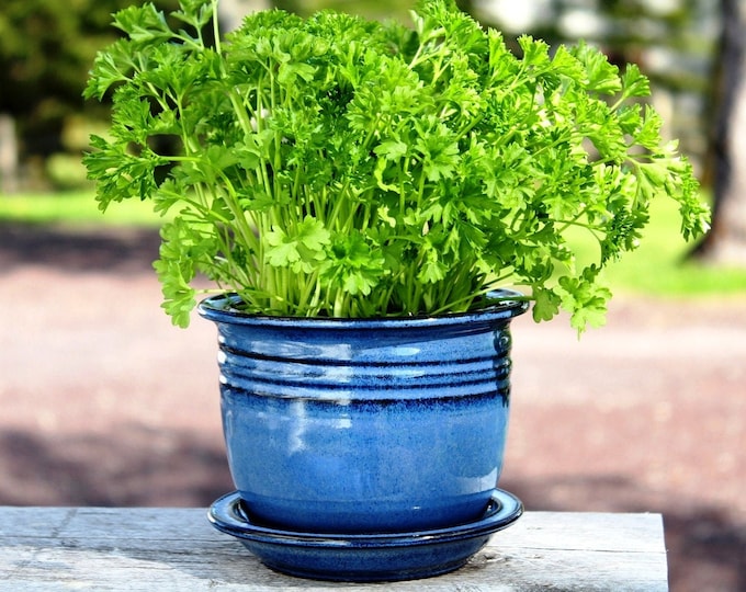 Planter Pottery Small Straight Planter, Flower Pot With Optional ...