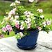 Planter– Pottery Small V-shaped Planter, Flower Pot With Optional ...