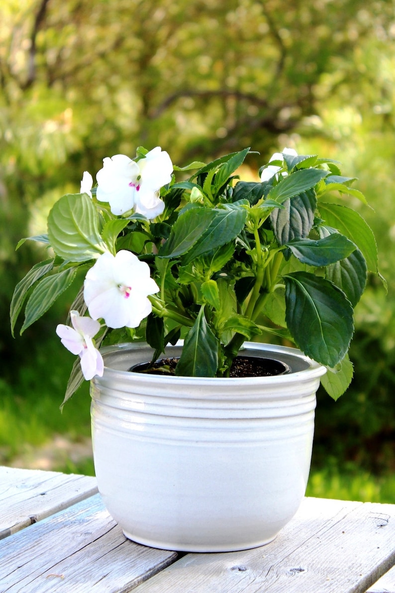 Planter– Pottery Medium Straight Planter, Flower Pot With Optional ...