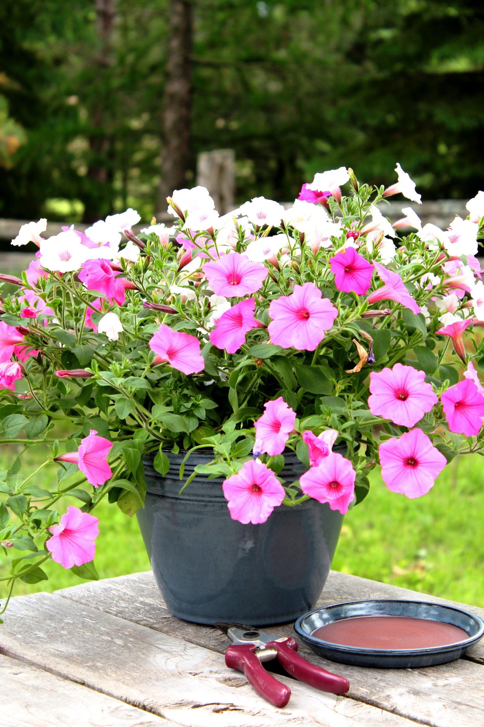 Planter– Pottery Large V-shaped Planter, Flower Pot With Optional ...