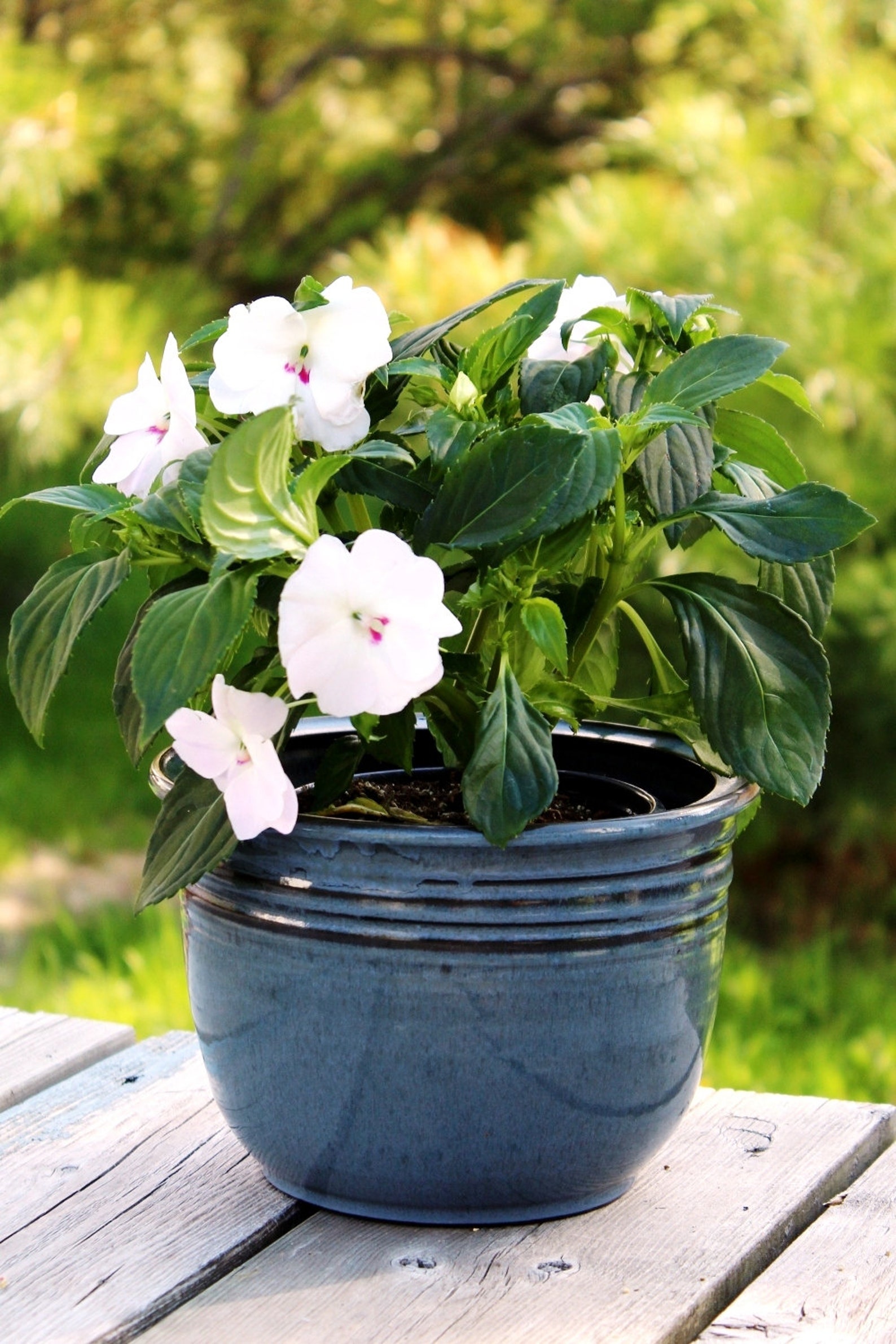 Planter– Pottery Medium Straight Planter, Flower Pot With Optional ...