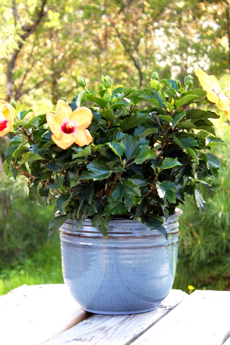 Planter– Pottery Extra Large Straight Planter, Flower Pot With Optional ...