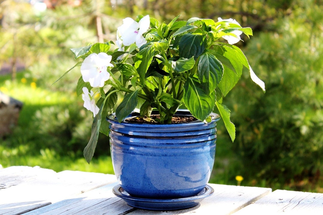 Planter– Pottery Medium Straight Planter, Flower Pot With Optional ...