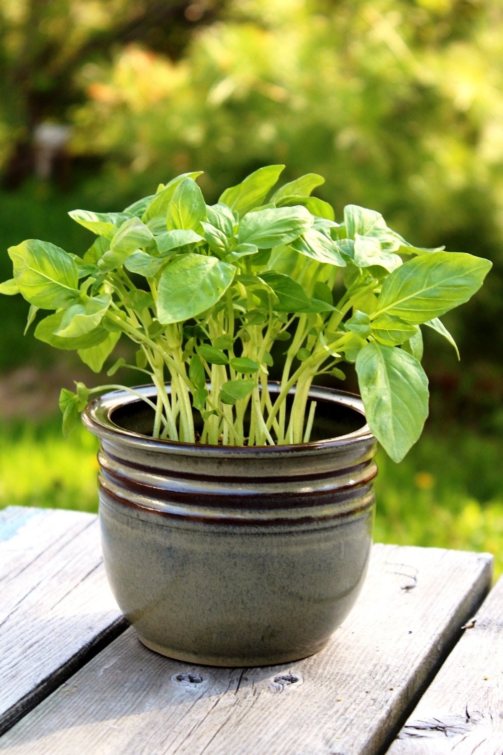 Planter– Pottery Small Straight Planter, Flower Pot With Optional ...