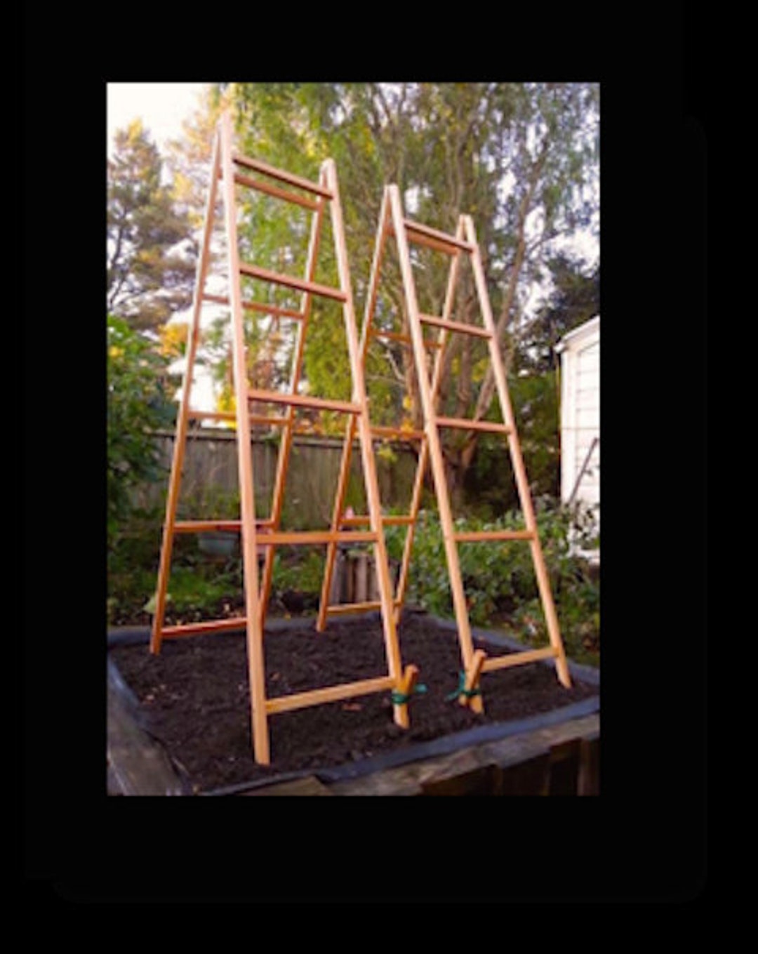 48 Inch Vegetable Trellis-twin Pack - Etsy