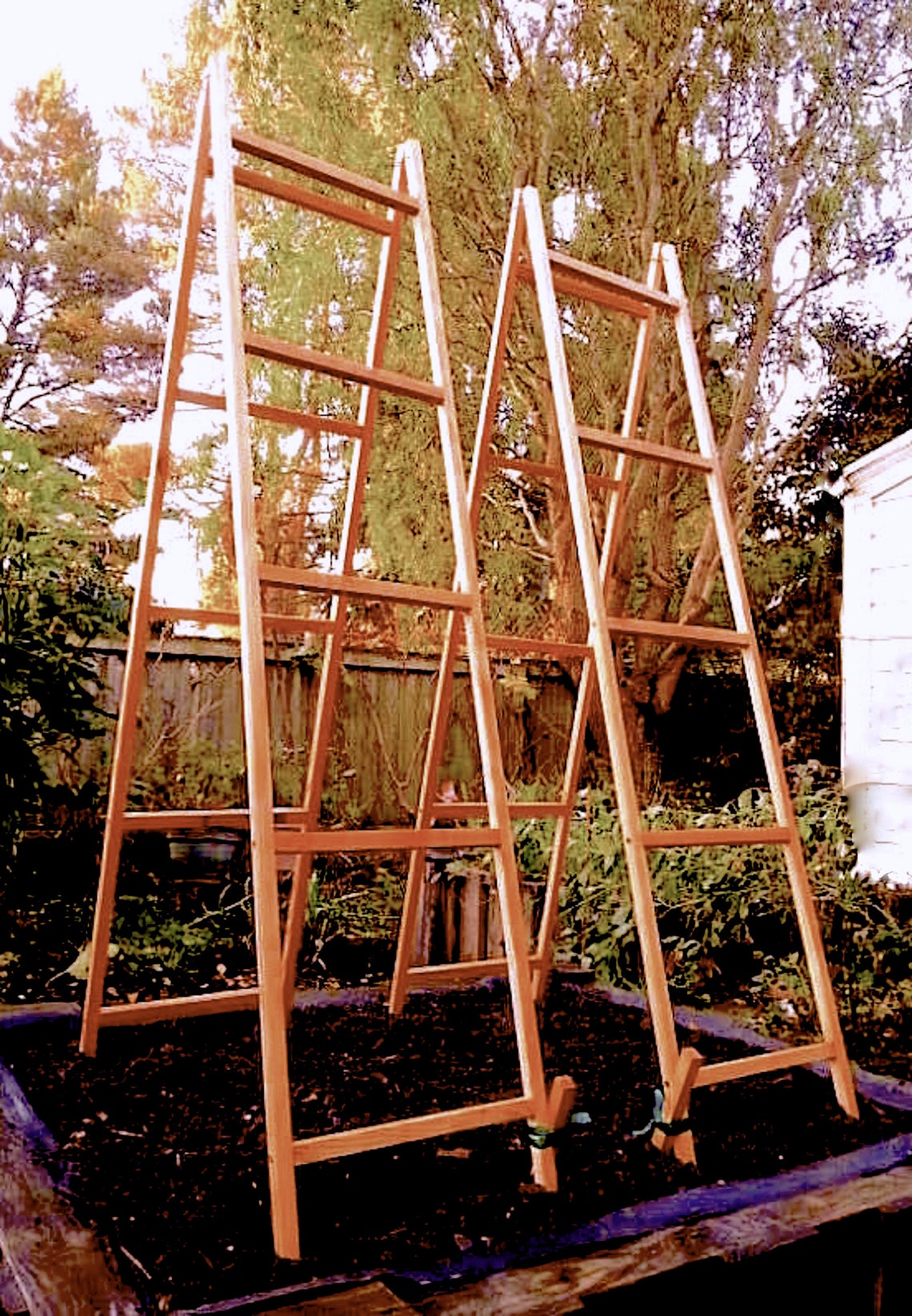 48 Inch Vegetable Trellis-twin Pack - Etsy