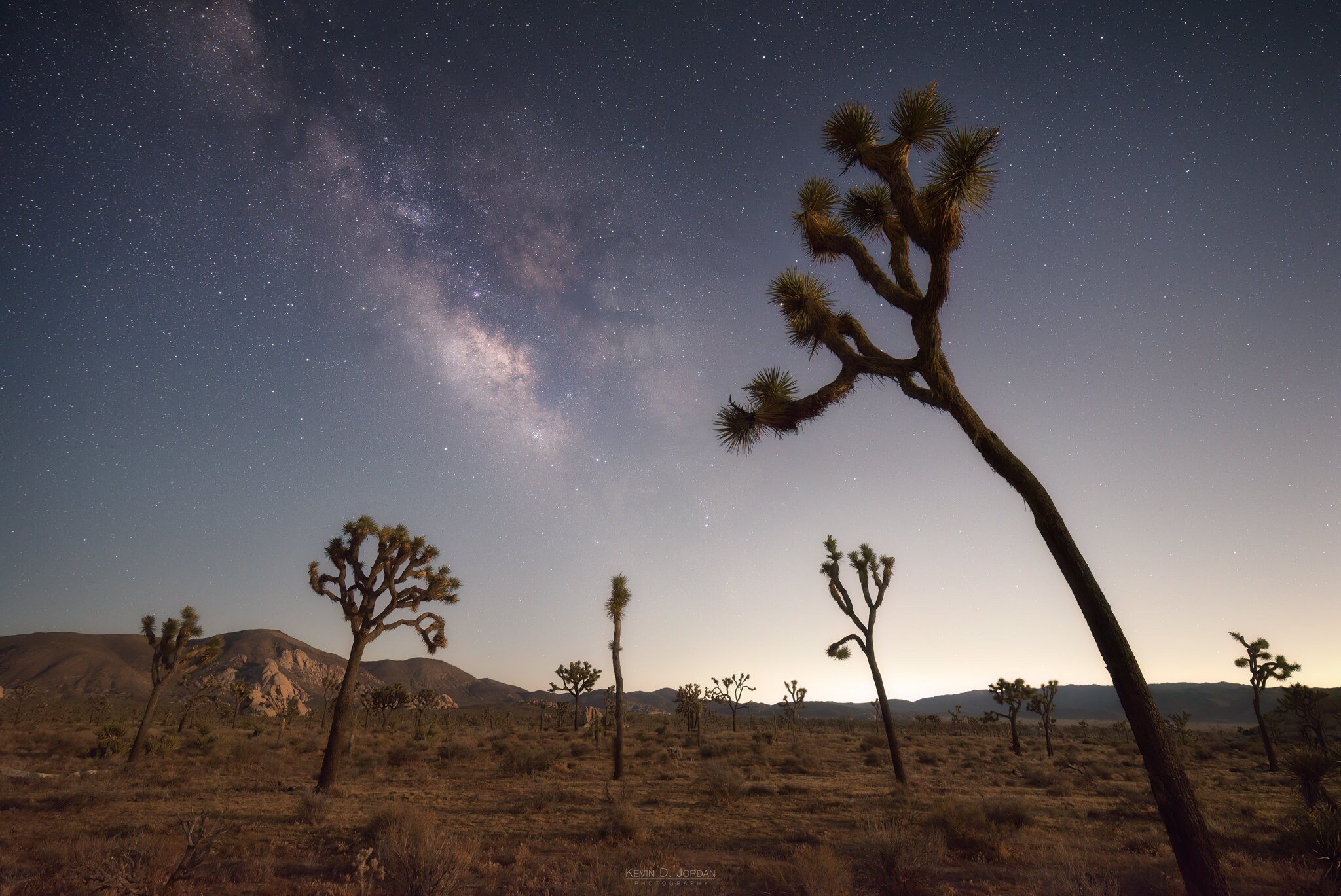 Milky Way Over Joshua Tree - Fine Art Landscape Photography Print - Etsy