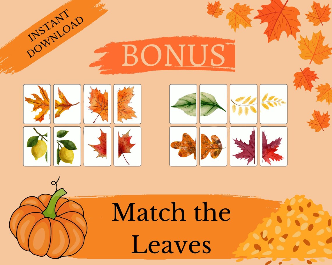 Autumn Flashcard Set: Printable Learning Cards for Fall Activities ...