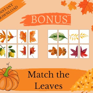 Autumn Flashcard Set: Printable Learning Cards for Fall Activities ...