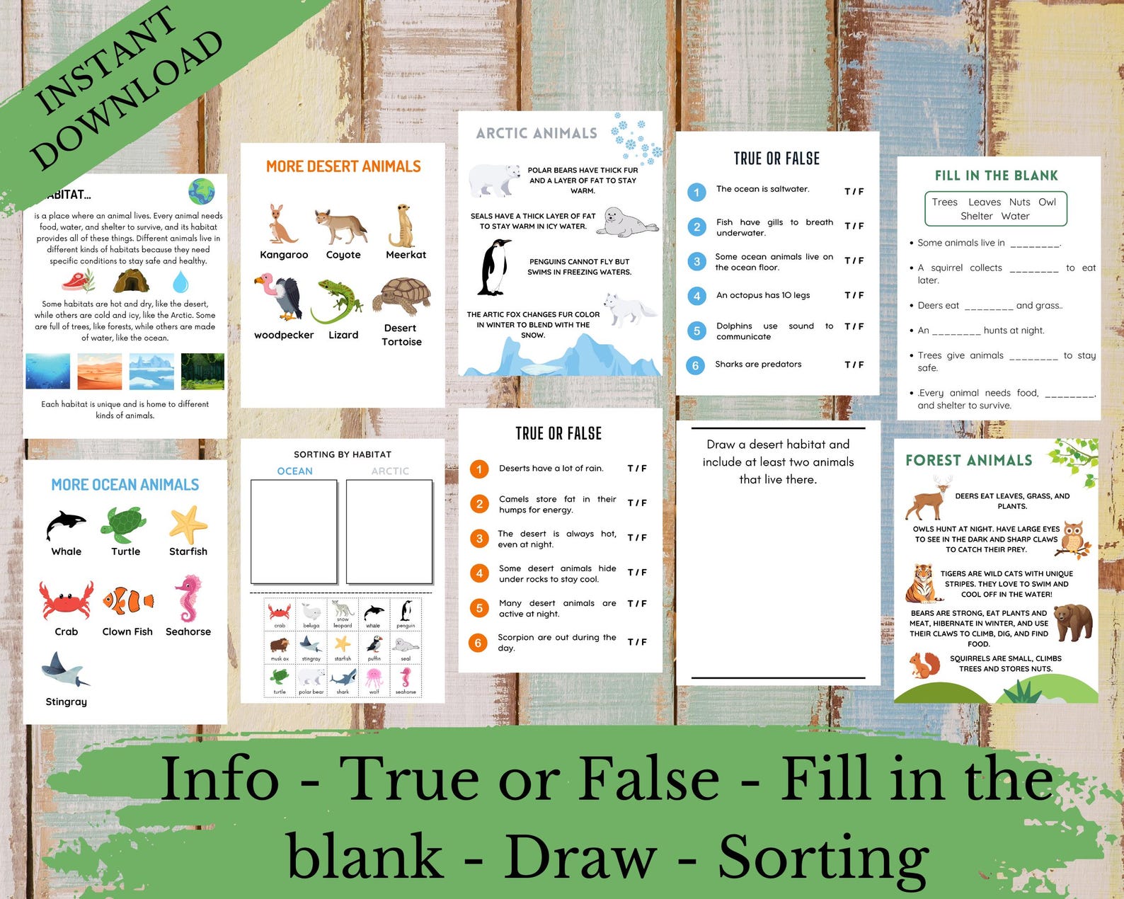 Animal Habitat Lesson Printable - Grade 1 & 2 - Forest - Desert ...