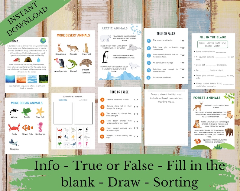 Animal Habitat Lesson Printable - Grade 1 & 2 - Forest - Desert ...