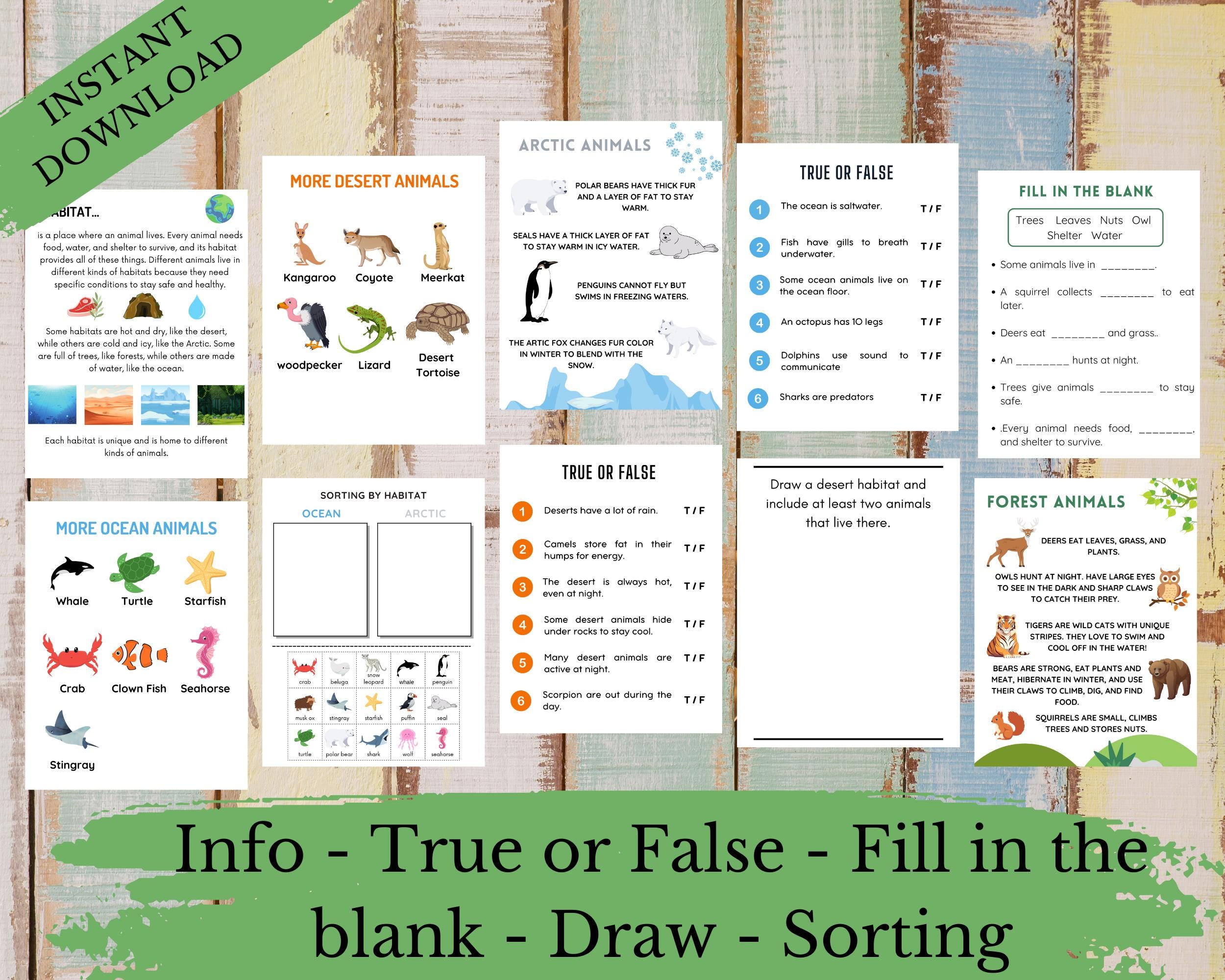 Animal Habitat Lesson Printable - Grade 1 & 2 - Forest - Desert ...