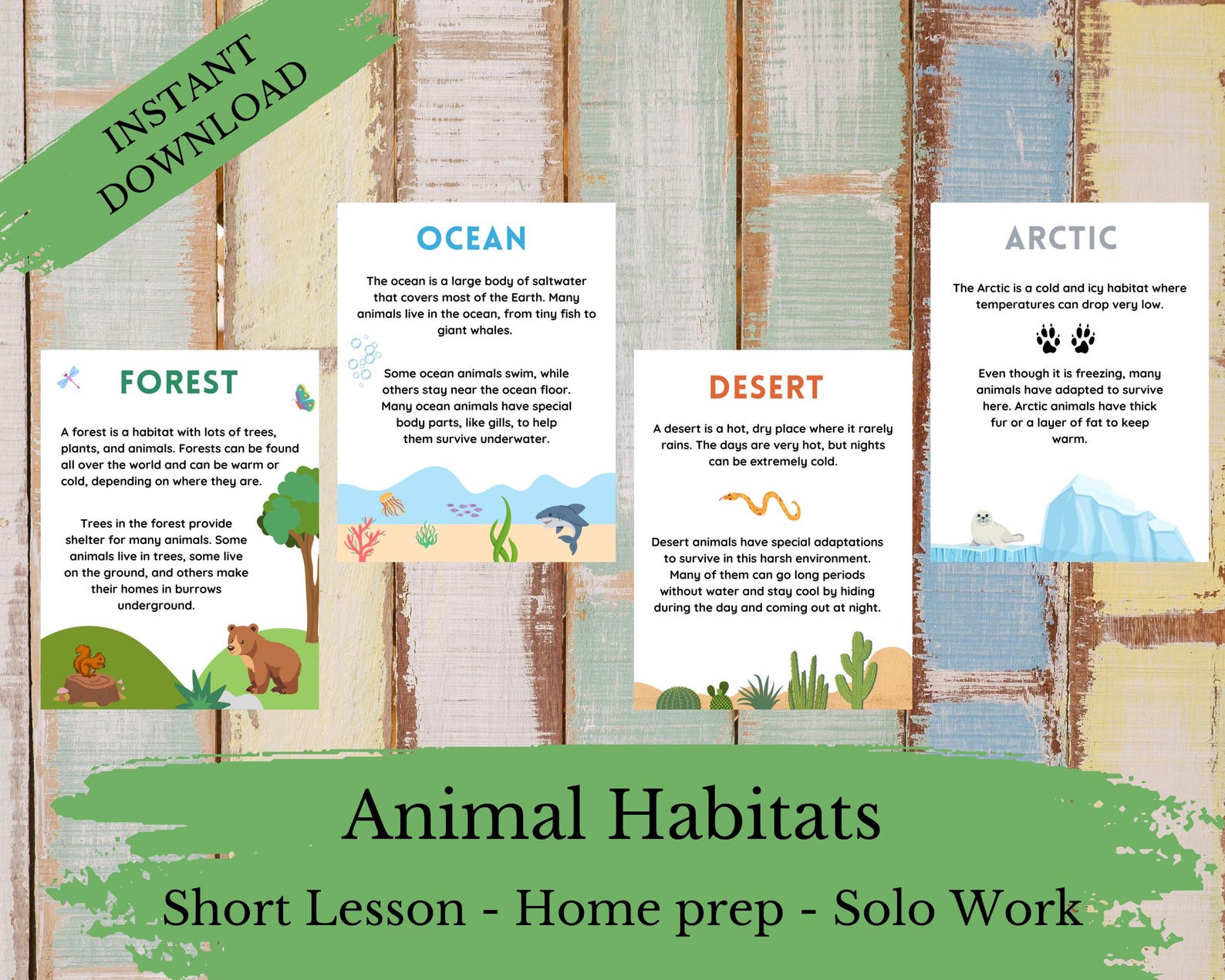 Animal Habitat Lesson Printable - Grade 1 & 2 - Forest - Desert ...