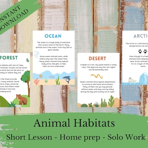 Animal Habitat Lesson Printable - Grade 1 & 2 - Forest - Desert ...