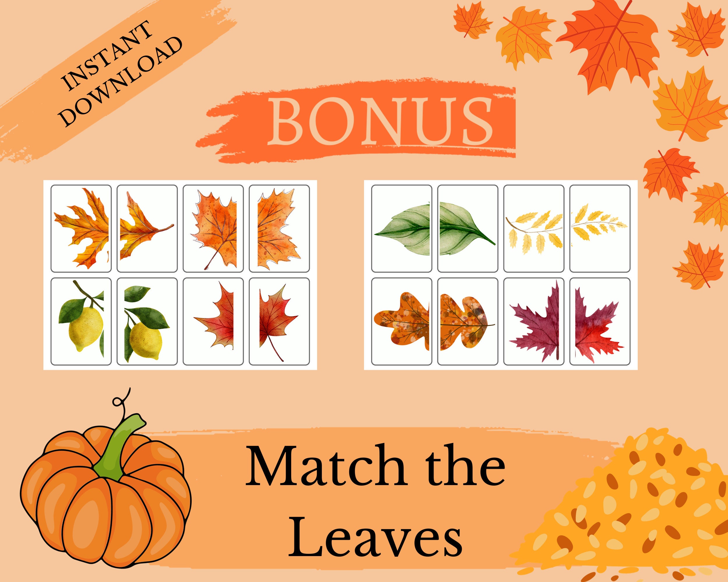 Autumn Flashcard Set: Printable Learning Cards for Fall - Etsy