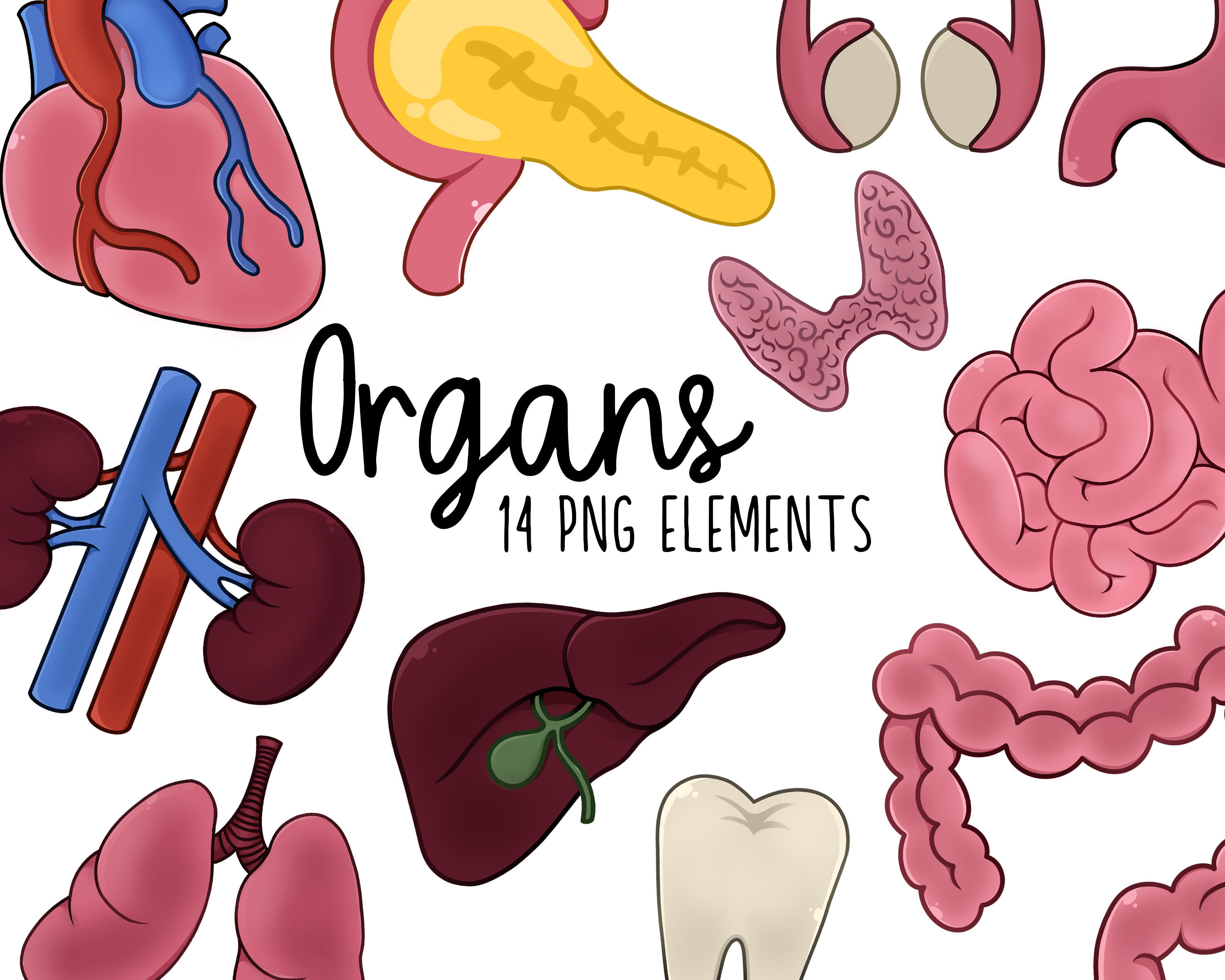 Technics Organ for sale | Only 3 left at -65%