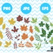 Fall Foliage Clip Art Set, Autumn Leaves Graphics, Fall Trees Clip Art ...