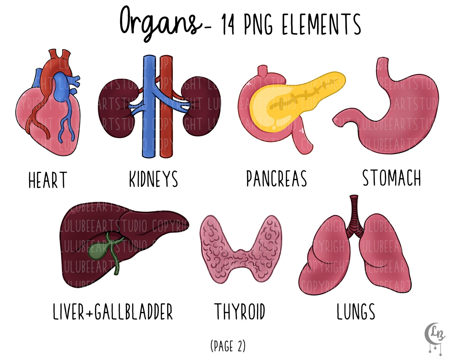 Organ Graphics Medical Science Clipart Educational Digital - Etsy