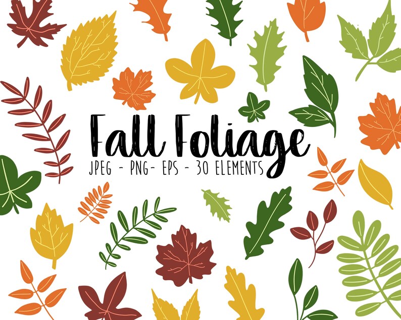 Fall Foliage Clip Art Set Autumn Leaves Graphics Fall Trees - Etsy