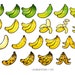 Banana Graphics, Banana Clipart, Fruit Clipart, Banana Icons - Instant ...