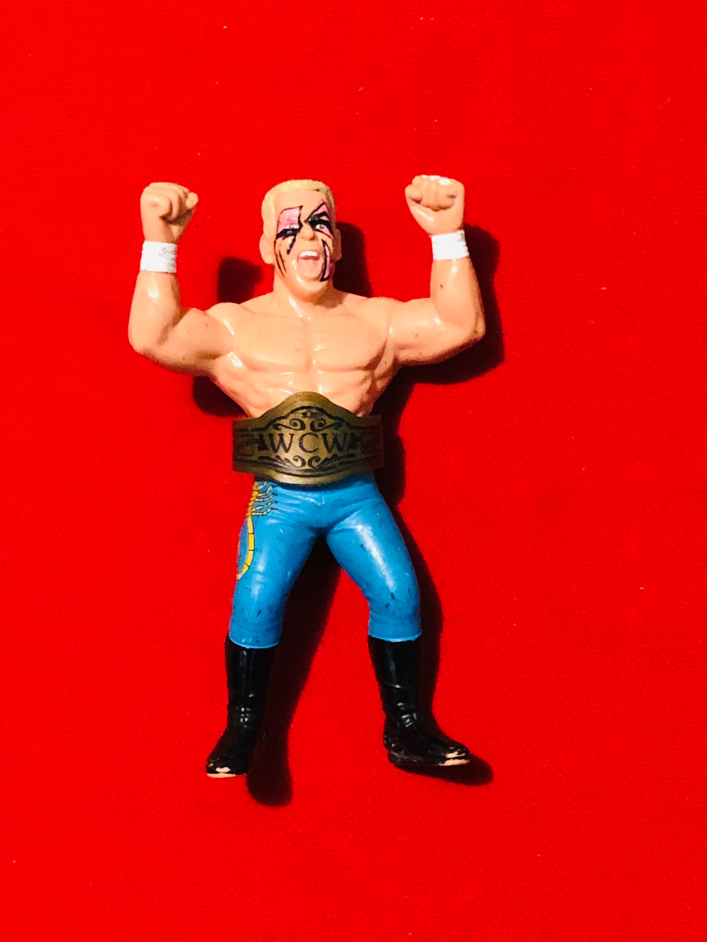 Sting Wcw Champion