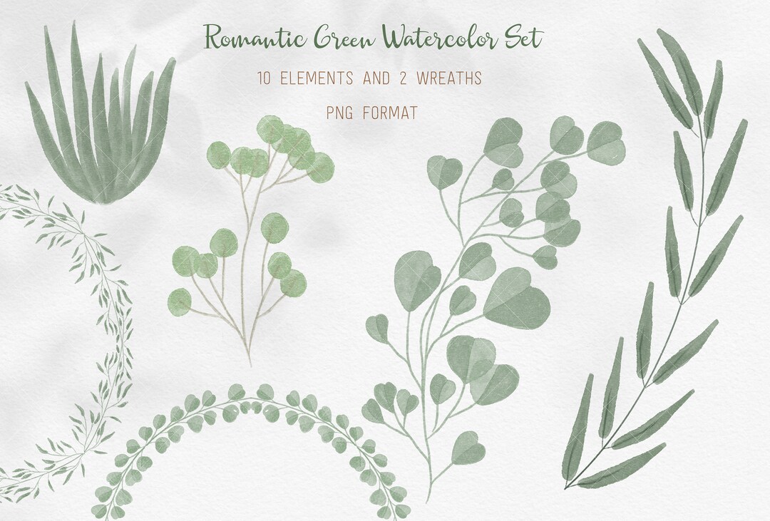 Watercolor Eucalyptus Clipart Set: Green Leaves & Wreaths (PNG Digital ...