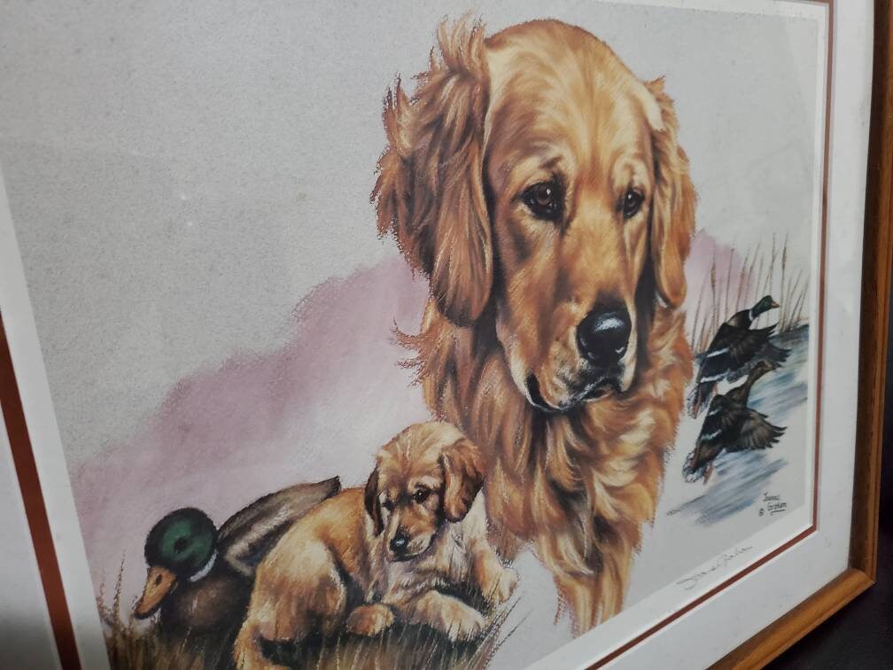 Joanne Graham numbered lithograph of Golden Retriever Dog - Etsy.de