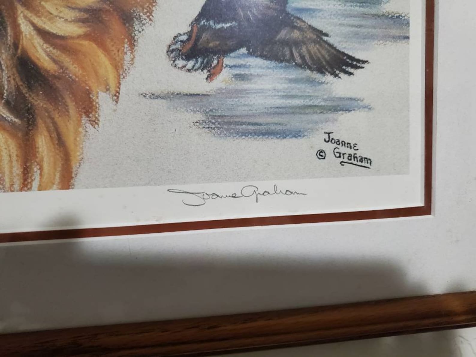 Joanne Graham numbered lithograph of Golden Retriever Dog - Etsy.de